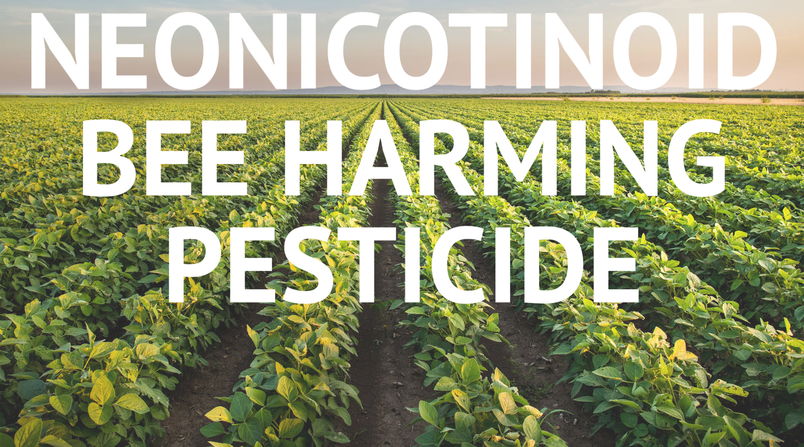 Neonicotinoid - the bee harming pesticide – ScottishBeeCompany