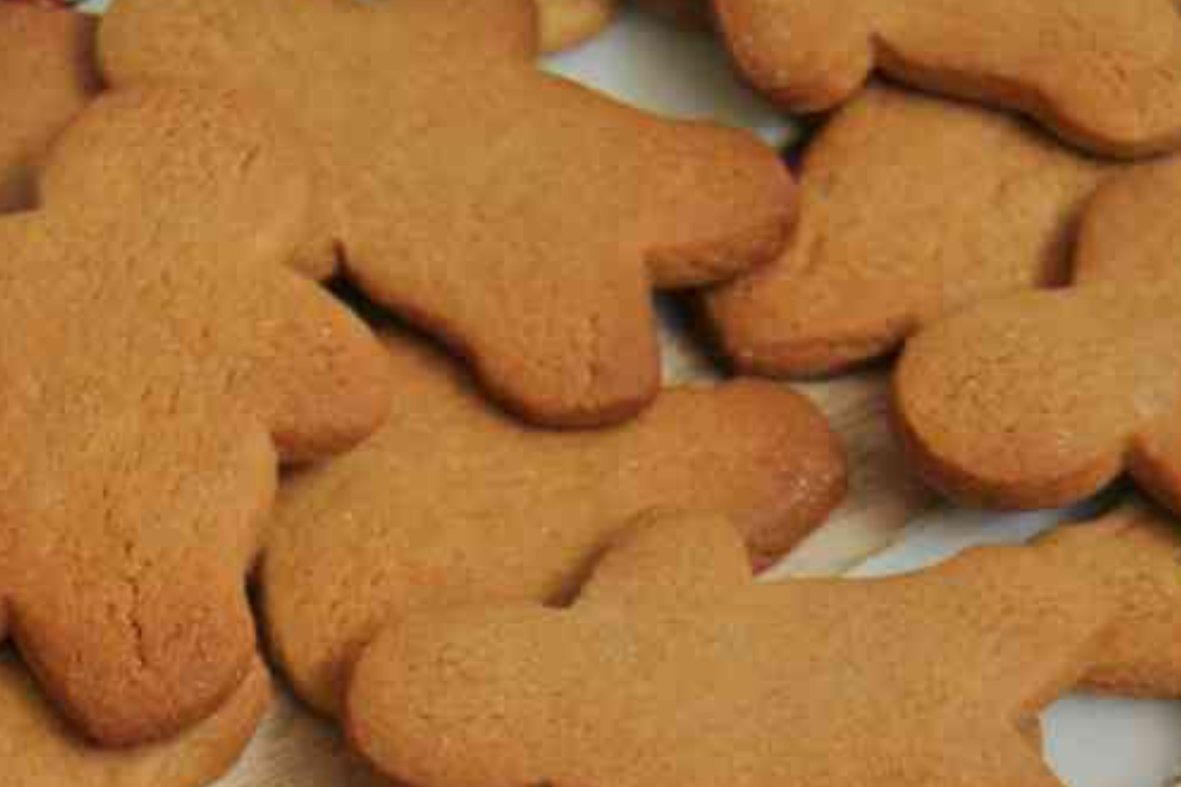 Honey biscuit people – ScottishBeeCompany