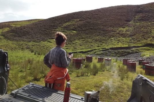 Blog – ScottishBeeCompany