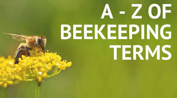 Blog – ScottishBeeCompany