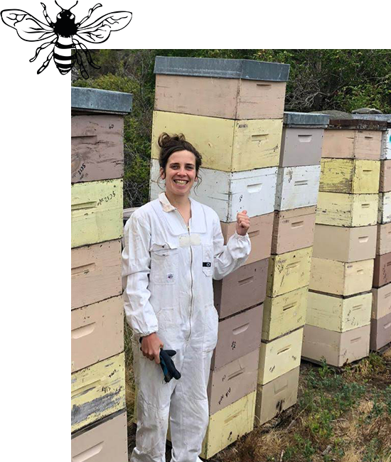 About The Scottish Bee Company – ScottishBeeCompany