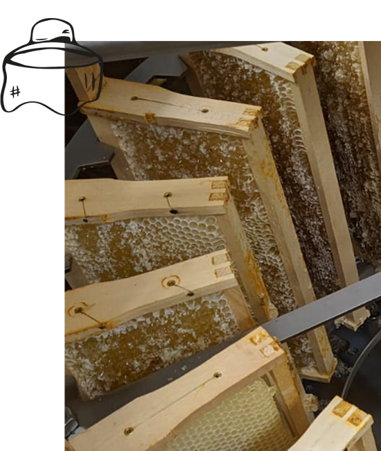 About The Scottish Bee Company – ScottishBeeCompany