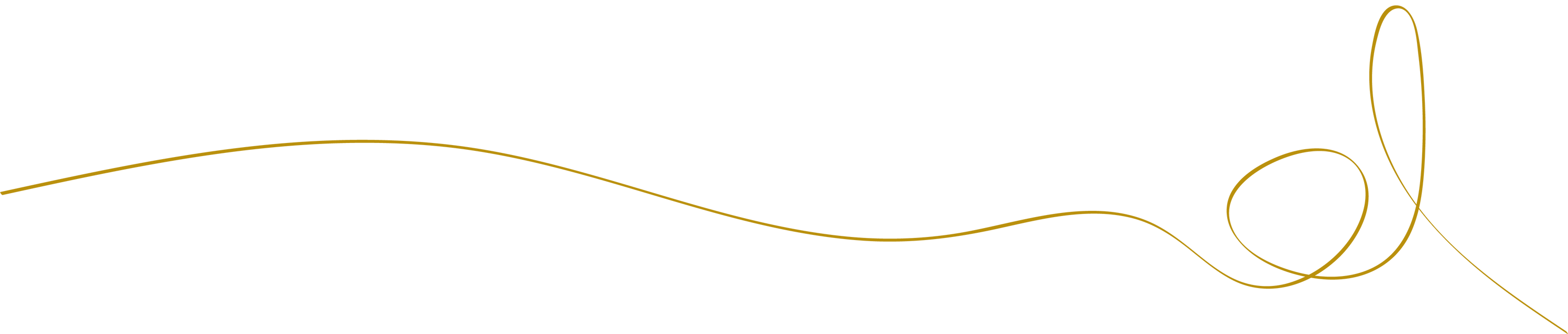 About The Scottish Bee Company – ScottishBeeCompany
